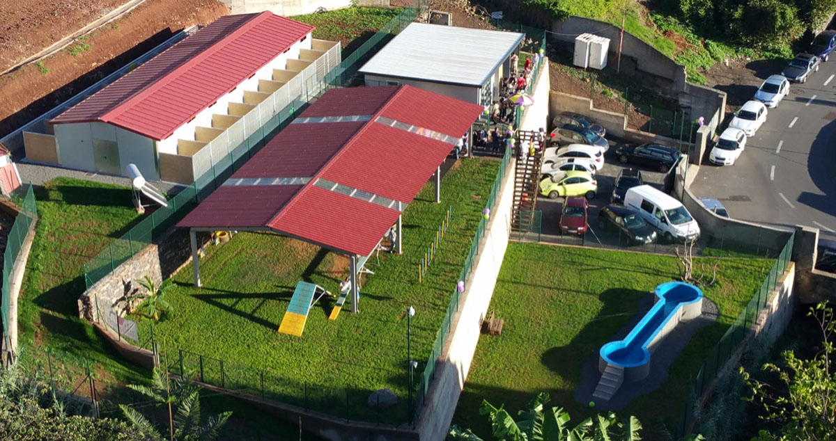 Dogtel - School, Resort and Spa